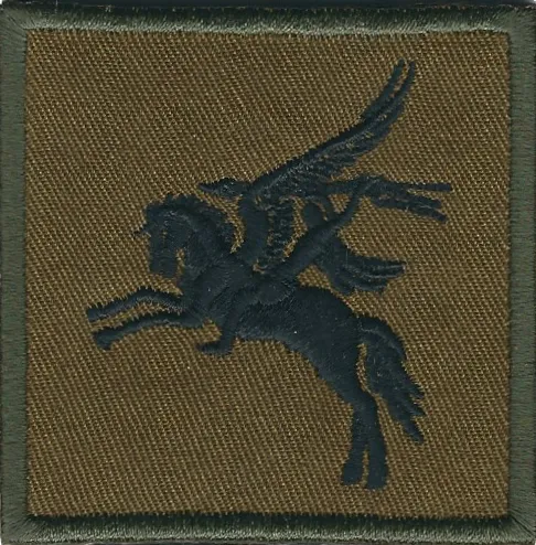 16 Air Assault Brigade TRF - Hook style with Sew on patch - Subdued